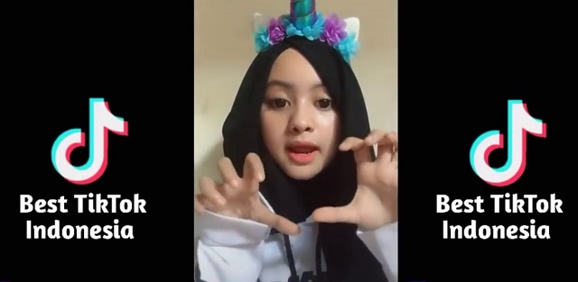 Nasib seleb dadakan usai Menkominfo blokir aplikasi Tik Tok