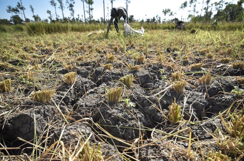 127.977 jiwa di Gunung Kidul terdampak kekeringan