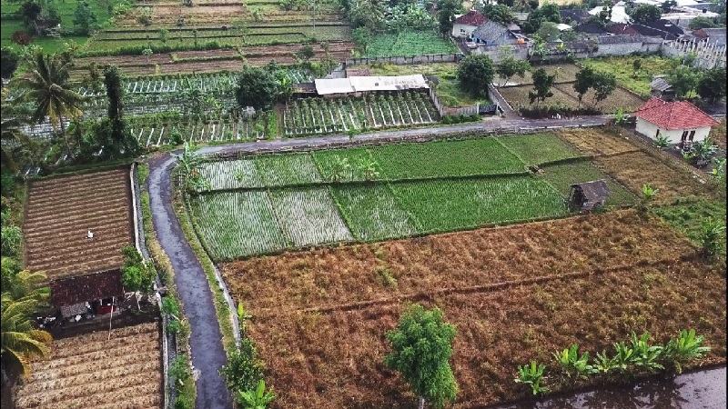 Pembangunan jalan angkat ekonomi daerah tertinggal