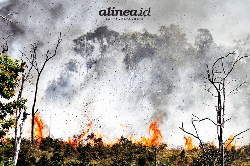 Asap kebakaran hutan sempat menyeberang ke negara tetangga