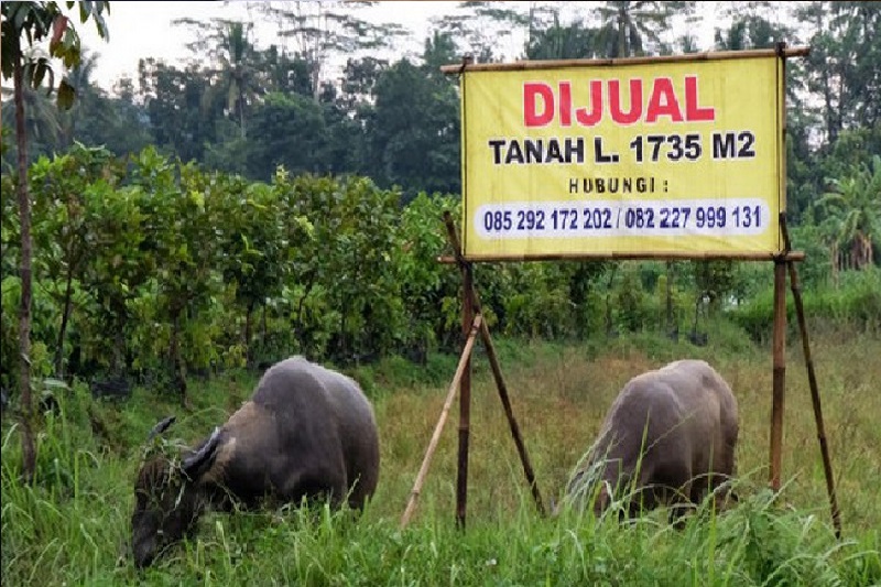 BKPM: Harga tanah di Indonesia mahal