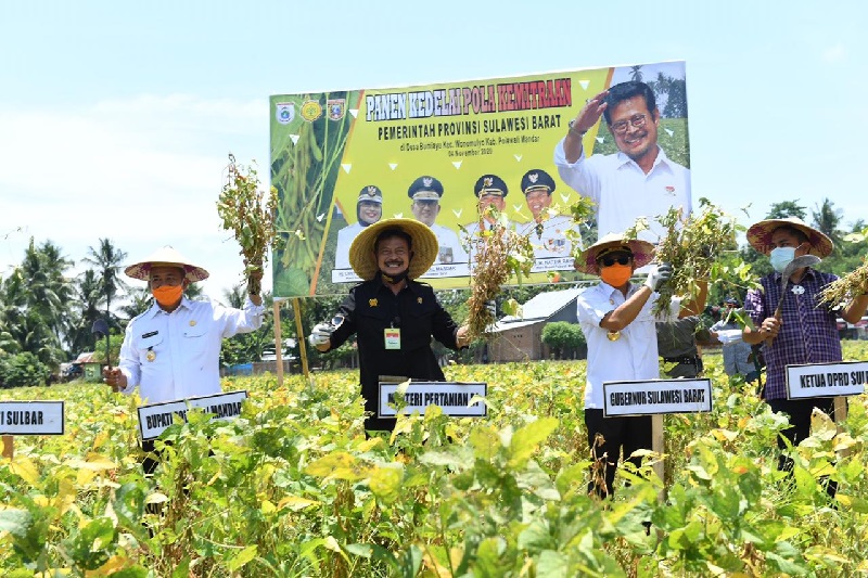 Mentan SYL genjot produksi kedelai dengan kemitraan