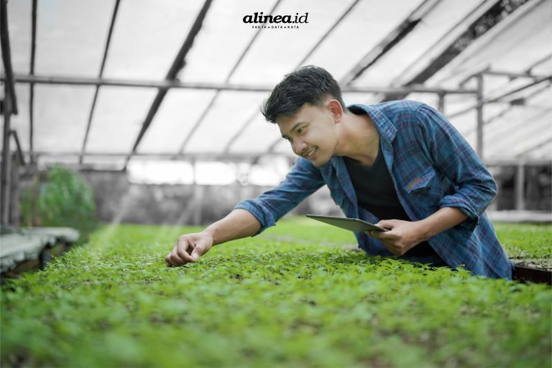 Petani jadi profesi pilihan paling akhir