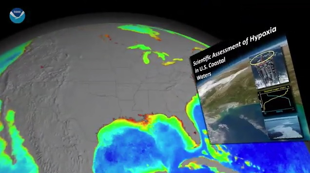 Ilmuwan AS temukan zona mati masif di dasar teluk Meksiko