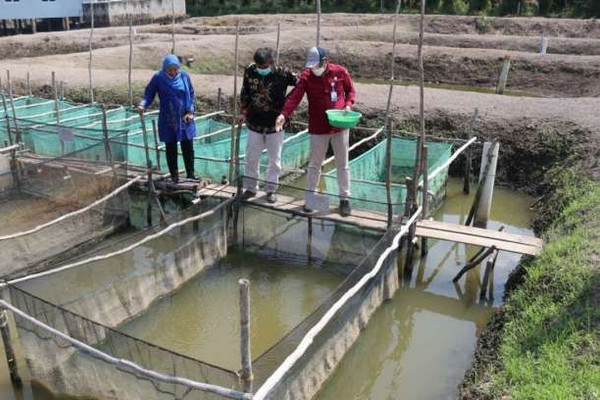 Bangun SDM perikanan, KKP kembangkan smart fisheries village