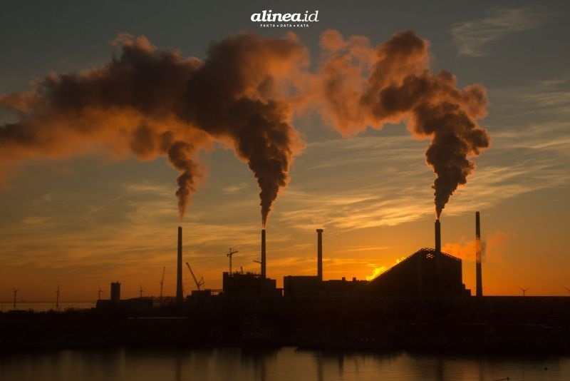 Perdagangan karbon di Indonesia bersifat terbuka, tetapi..