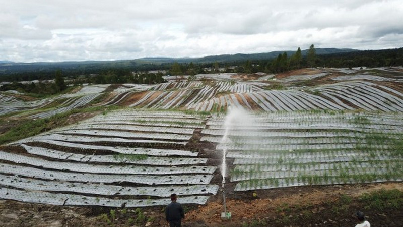 PUPR bangun infrastruktur penunjang lumbung pangan Humbahas